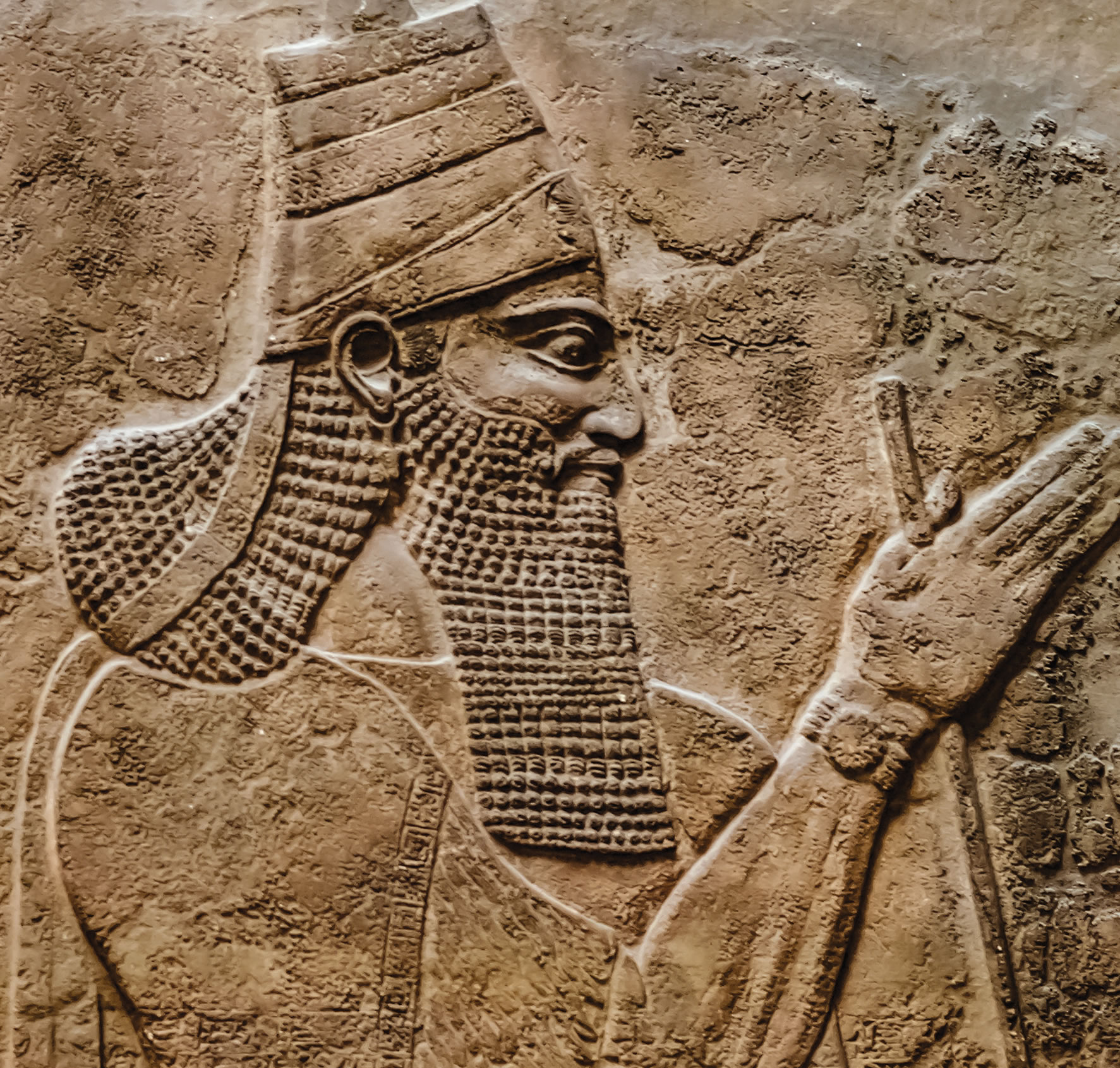 Shalmaneser V