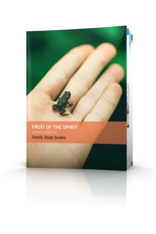 gentleness bible study