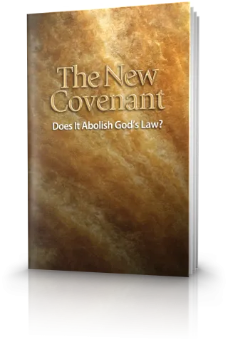 covenant bible study