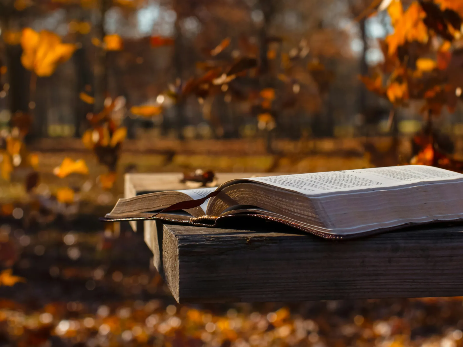 A World in Transition …to What? - United Church of God - NZ