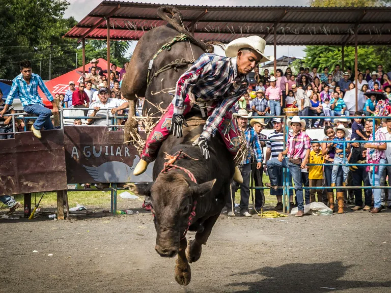 How to Survive Bull Riding and Religion | United Church of God