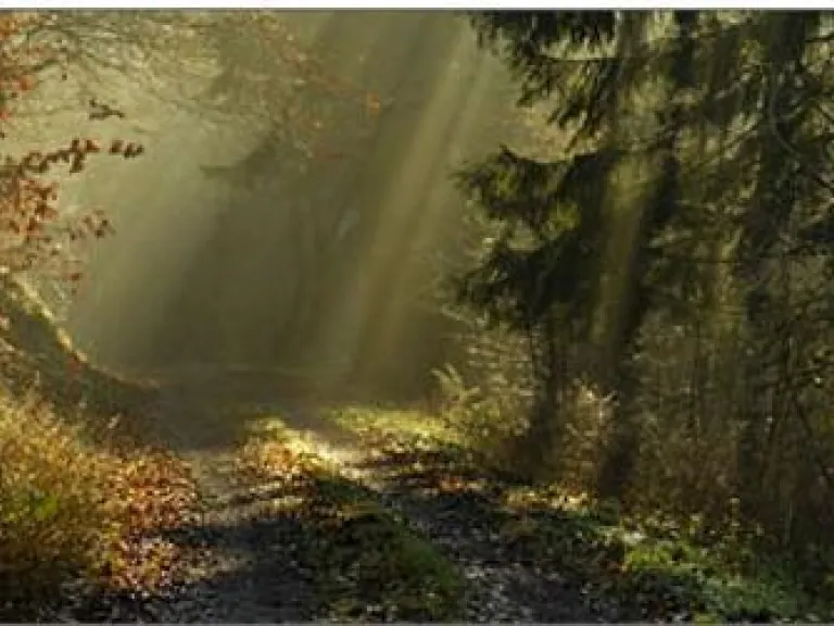 How Can We Find the Pathway to Peace? | United Church of God