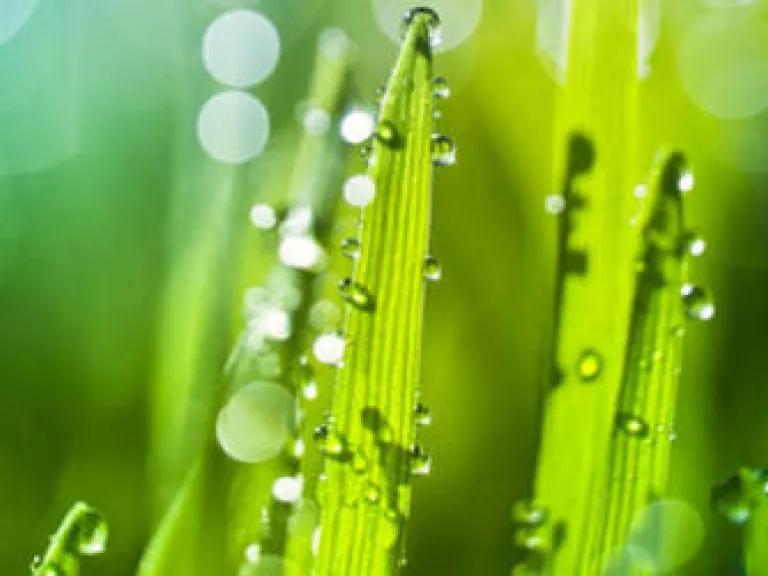 Spend Time In Nature | United Church of God