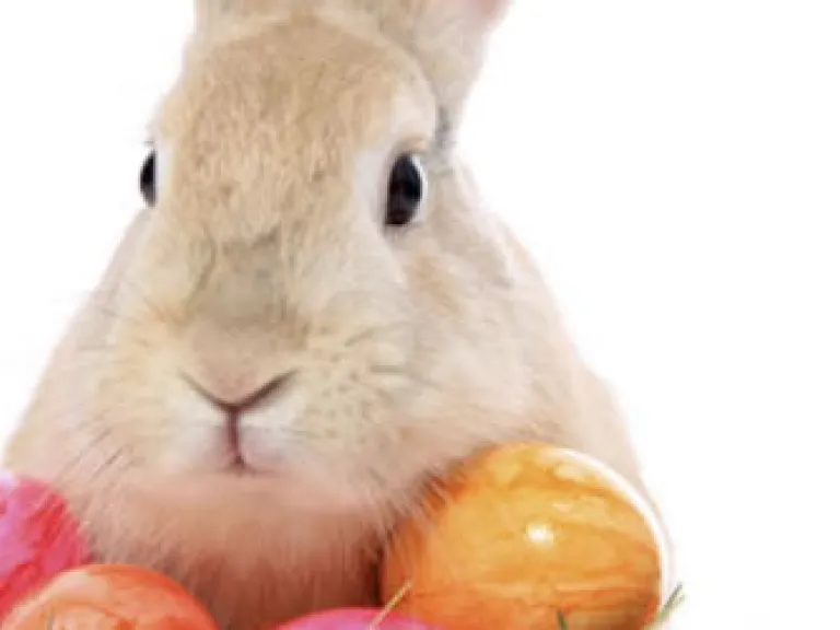 What Does Easter Really Commemorate? | United Church of God