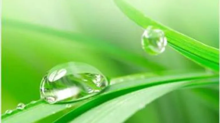 One Leaf of Grass | United Church of God