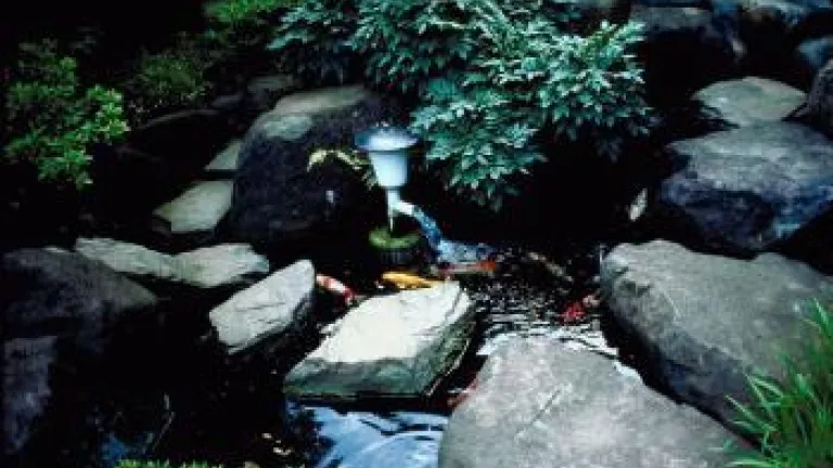 Sabbath Morning | United Church of God