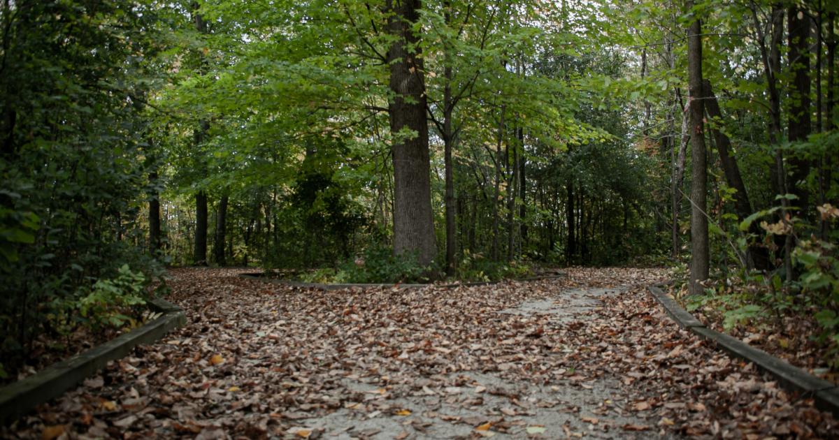 Compass Check: P.S.A.L.M. - A Formula for How to Make Good Decisions ...