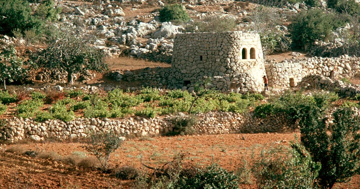 The Role of a Watchman: Part 1 - What Does It Mean for You? | United ...