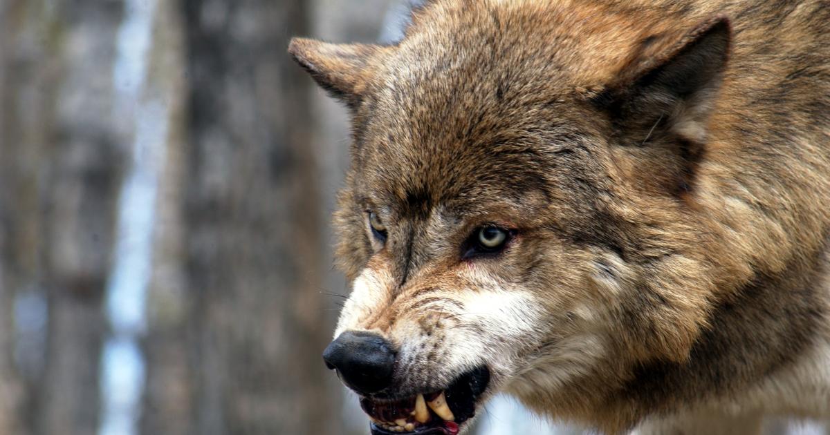 10 Days to Passover: Day 3 | United Church of God