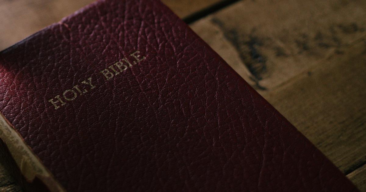 fallen angels before noah