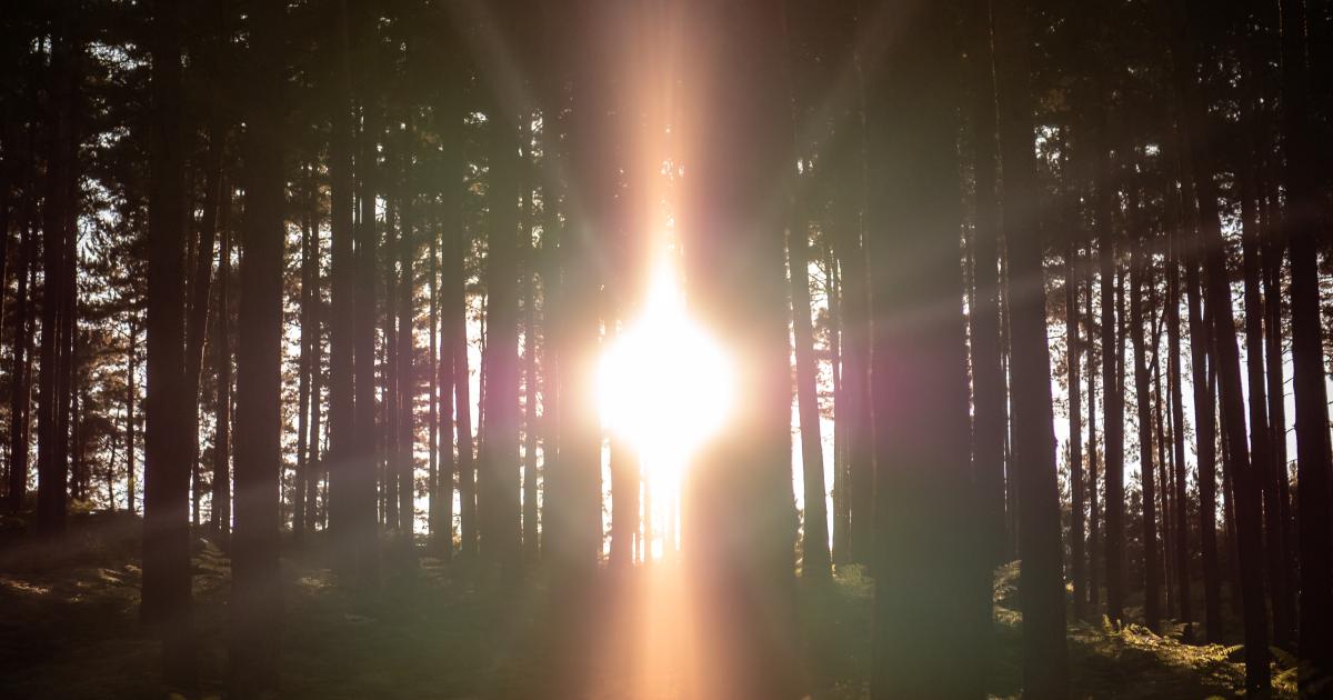 How Do We Know When to Trust if Satan Can Present Himself as an Angel ...