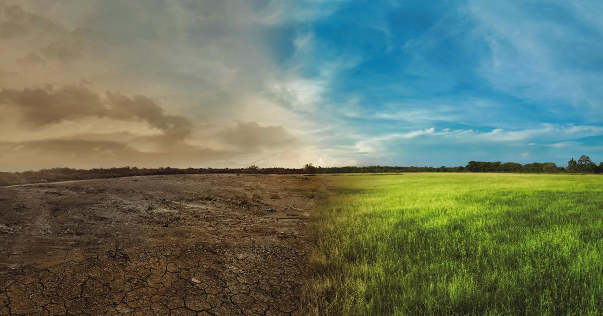 Five Ways Jesus Christ Will Change the World | United Church of God