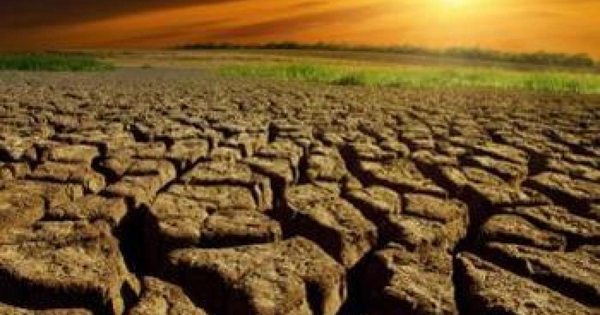 Drought Conditions Reach Crisis Levels | United Church of God