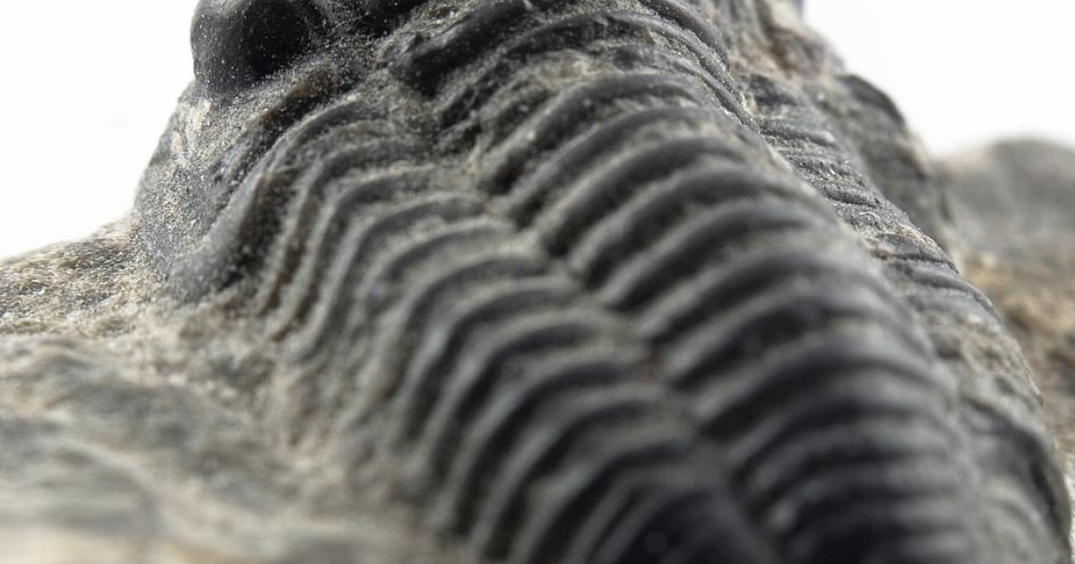 Prove Evolution Is False - Even Without the Bible | United Church of God