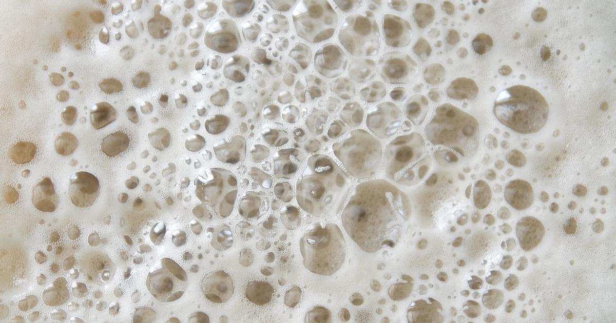 Puffed Up With Pride | United Church of God