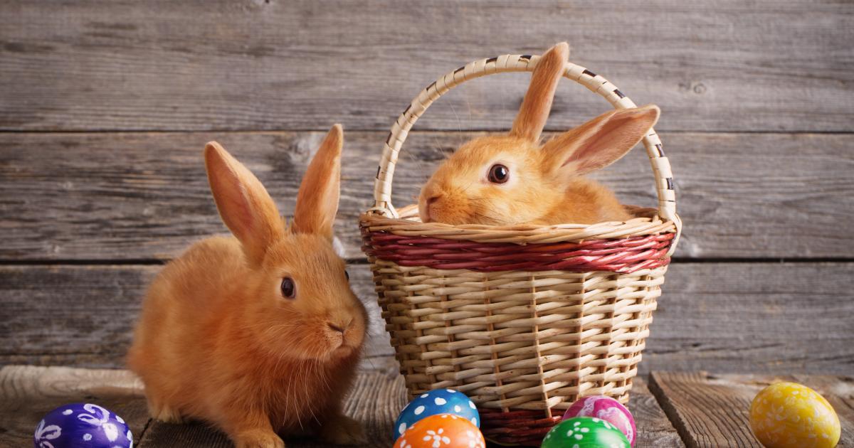 What Are the Real Origins of Easter? | United Church of God