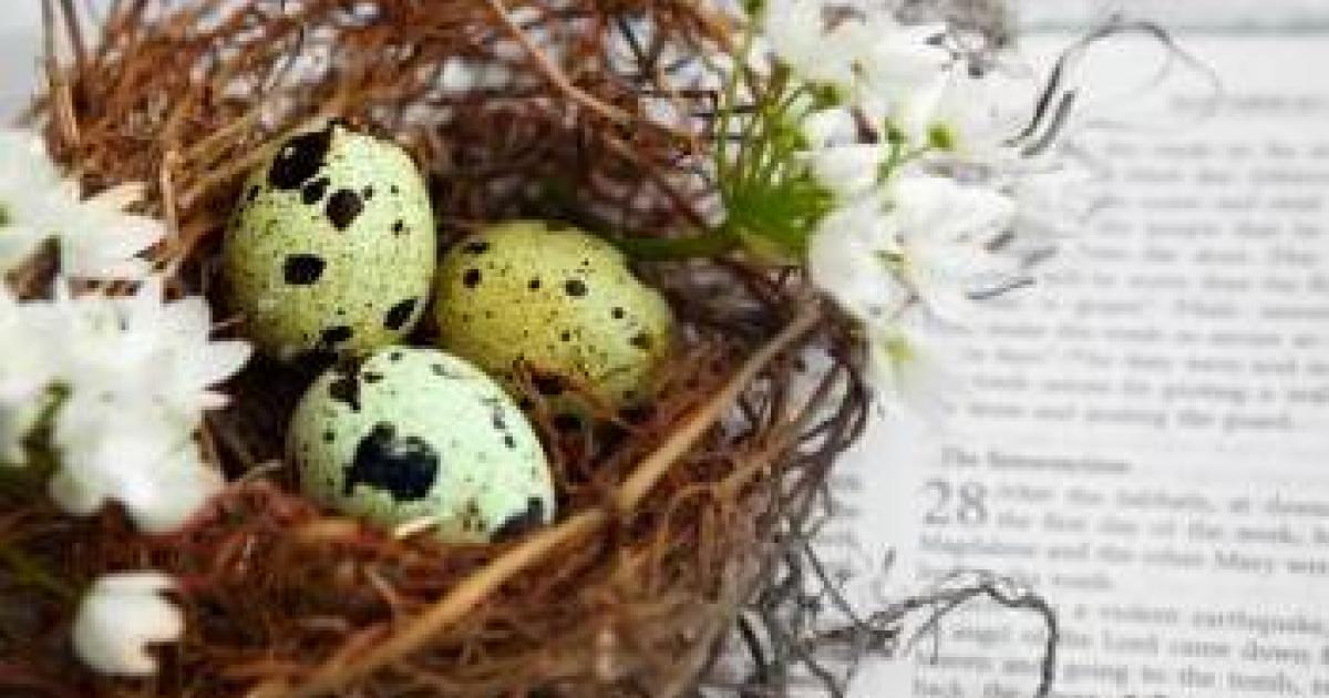 Days of Unleavened Bread or Easter: Which Honors Jesus Christ? | United Church of God