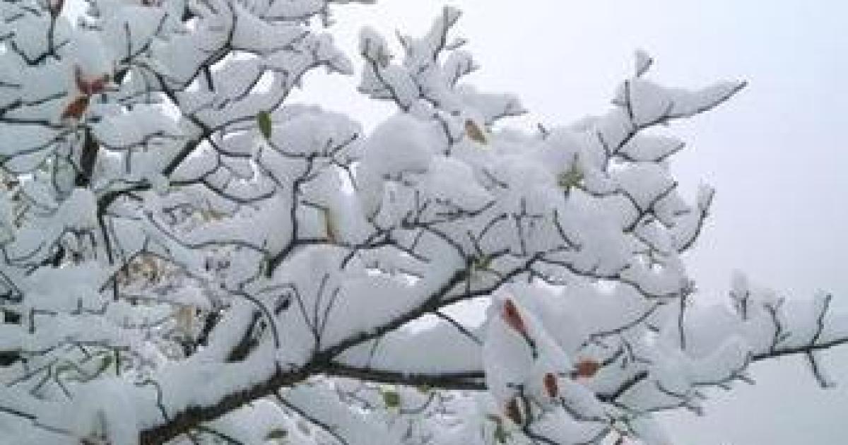 Whiter Than Snow: A Visual Lesson | United Church of God