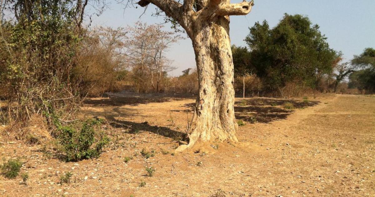 Manyinga | United Church of God