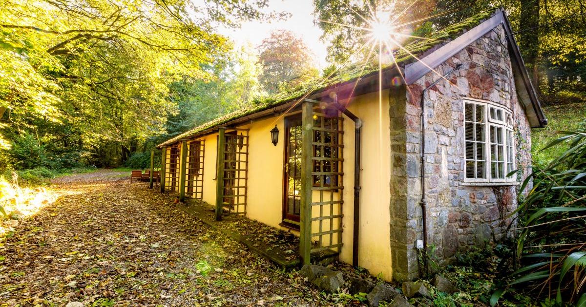 Summer Family Activity in the UK | United Church of God